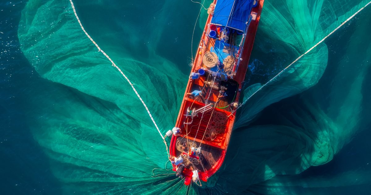 Making waves with bluetech