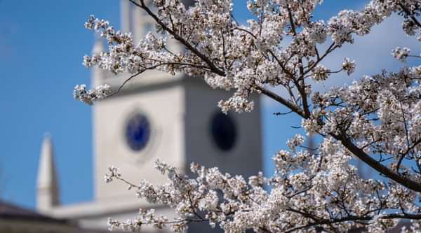 Andover | An independent and inclusive coed boarding high school | Ne…